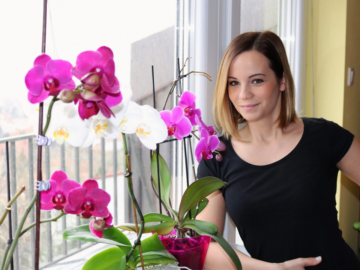 Szakmai bejegyzések - Blog - Profident Fogászati Centrum - Magán fogorvos